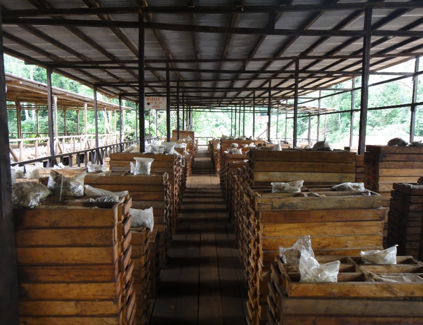 Geotechnical engineering: The Mabounié deposit | Fondasol